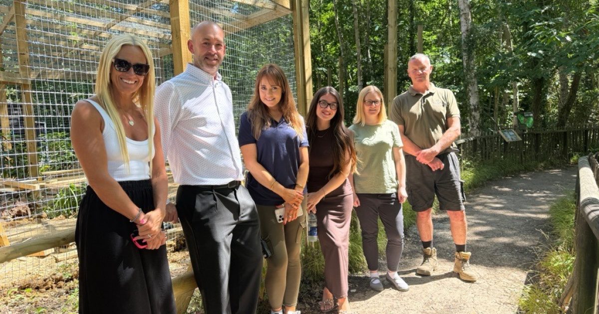 Visiting the Lynx Enclosure at Wildwood Trust | South East Consortium